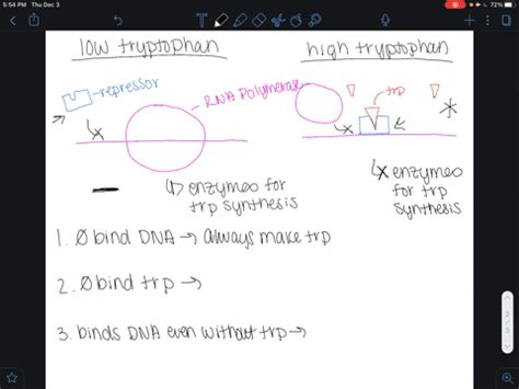 Chapter Control Of Gene Expression Video Solutions Essential Cell Biology Numerade
