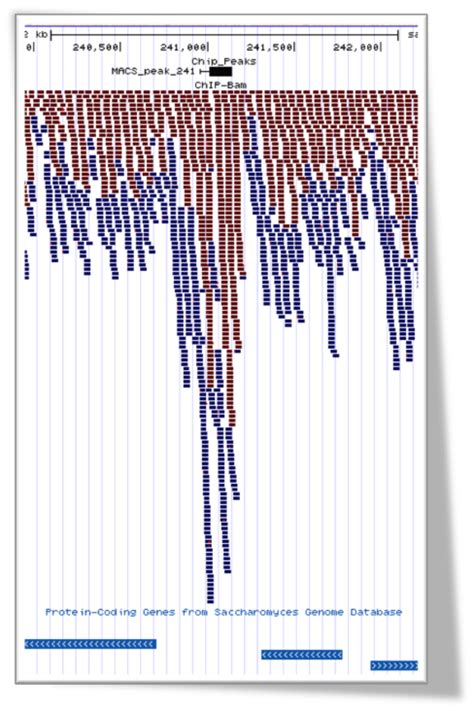 Peak Calling Ub Genomics And Bioinformatics Core