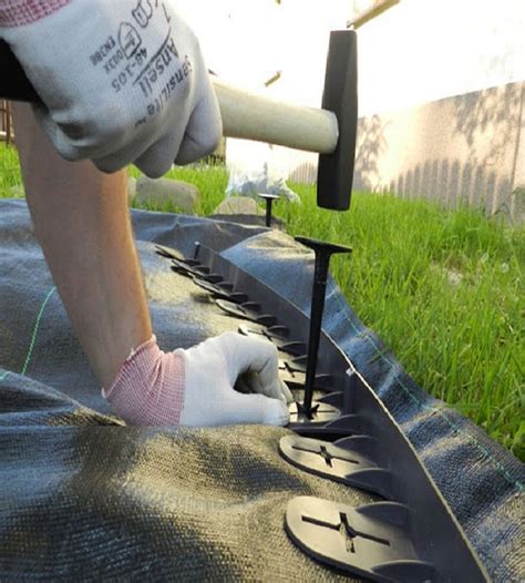 Экосад бордюр 76 фото красивые картинки и Hd фото