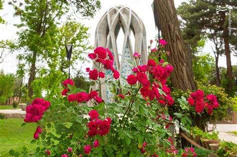 تازه‌های اخبار ایران و جهان در سایت نیوزین