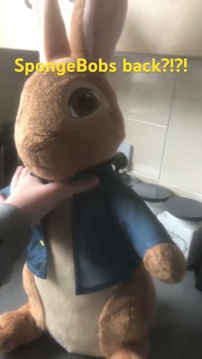 Spongebobs Back After 12 Weeks Youtube