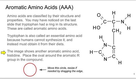 Solved Aromatic Amino Acids Aaa Amino Acids Are Classified