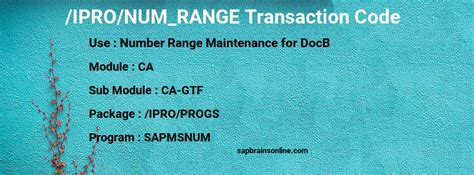 IPRO NUM RANGE SAP Tcode For Number Range Maintenance For DocB