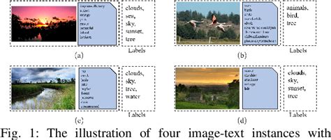 Figure 1 From Multi Label Contrastive Semantics Preserving Based Cross