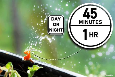 How Many Emitters Can I Put On A Drip Line