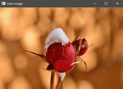 Read Display And Write An Image Using Opencv Learnopencv
