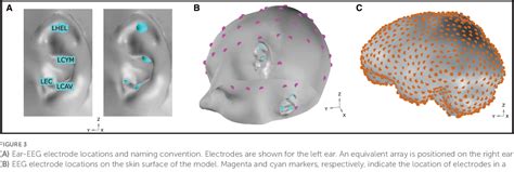 Figure 1 From Ear Eeg Sensitivity Modeling For Neural Sources And Ocular Artifacts Semantic
