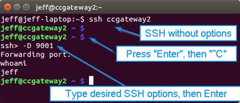 SANS Penetration Testing Using The SSH Konami Code SSH Control Sequences SANS Institute