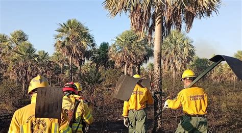 Diario Hoy Nuevo Reporte Registra Más De 40 Mil Hectáreas Del País