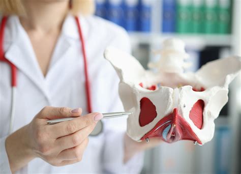 Types Of Lubricants For Sex The Pelvic Hub