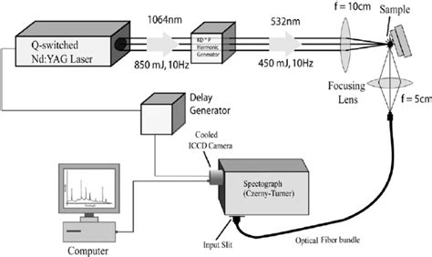 Schematic Diagram Of The Libs Experiment Download Scientific Diagram