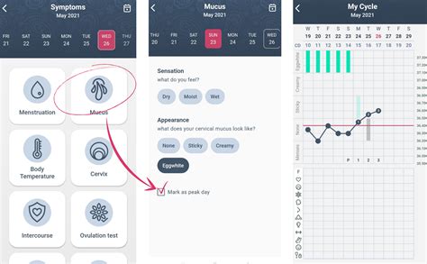 Manual Charting Mode Tempdrop User Support