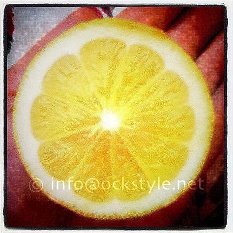 Food Meditations Grasshoppers Bread And What Does Being A