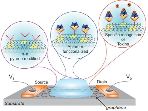 Graphene Field Effect Transistor And Its Application For Electronic Sensing At Erik Cox Blog