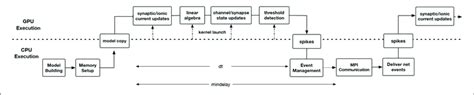 Timeline Showing The Workflow Of Gpu Enabled Coreneuron Execution Download Scientific