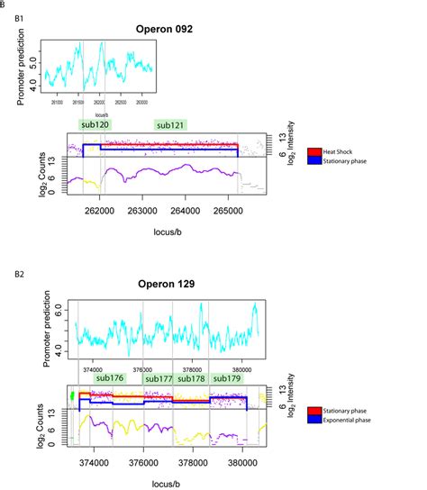 Examples Of Operons Having Alternative Transcripts A The Tiling Array Download Scientific