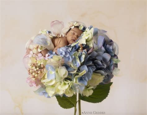 Anne Geddes
