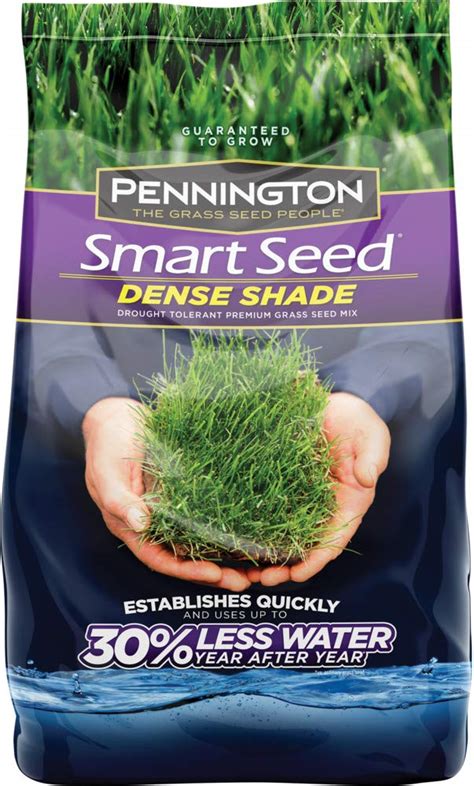 Best Grass Seed For Shade In Ontario At Stacie Wood Blog