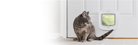 PetSafe® Brand Official Website - PetSafe® UK