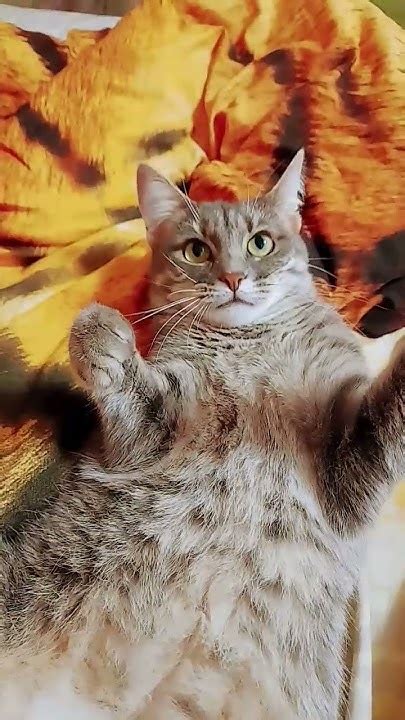 Маруся отдыхает Youtube