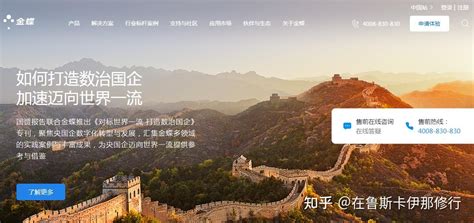 什么是sap？一文了解sap产品线 知乎