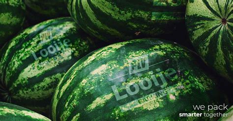 Looije Packing On Linkedin Laserbranding Sustainability Environment