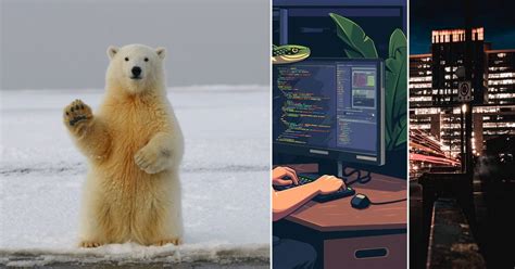 list basics curated by lcmg medium