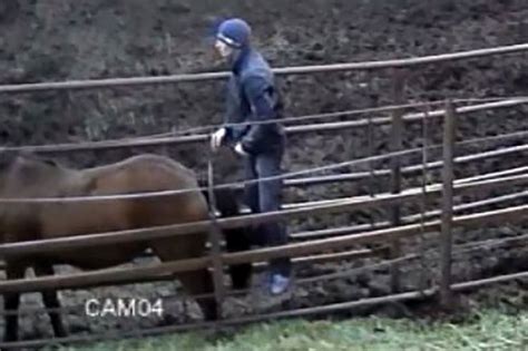 Man Dumped By Girlfriend After Being Caught Having Sex With A Horse