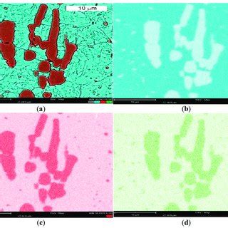 Element Distribution In The Microstructure Area A Microscopic Image Download Scientific