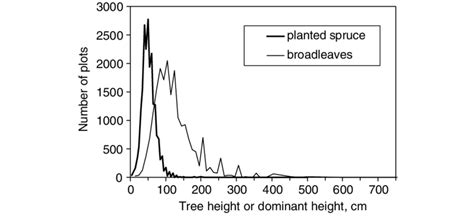 Distribution Of The Height Of The Planted Crop Tree Spruce And Dominant Download Scientific