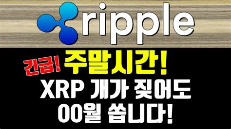 리플 긴급 주말시간 Xrp 개가 짖어도 00월 쏩니다 Youtube