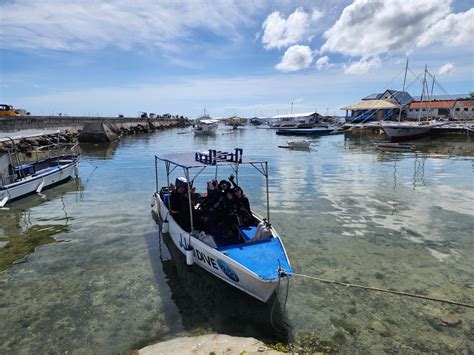 스쿠버 다이빙은 항상 옳다ㅎㅎㅎ 찐다이브 사진갤러리