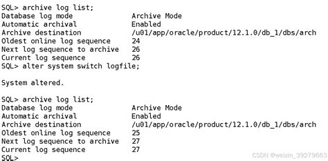 使用rman进行异机恢复oracle数据库oracle Rman异机恢复 Csdn博客