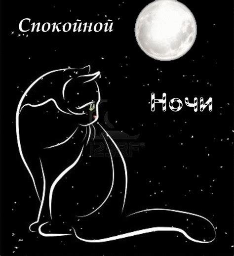 Гифки Спокойной ночи 55 штук