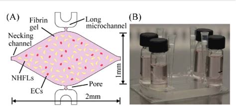 Figure 1 From A Microfluidic Platform For Generating Large Scale Nearly