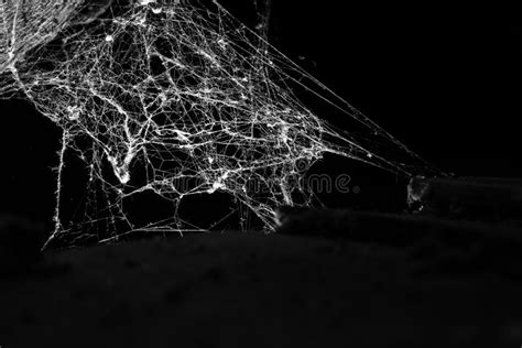 Triangle Horror Cobweb Or Spider Web Isolated On Black Background