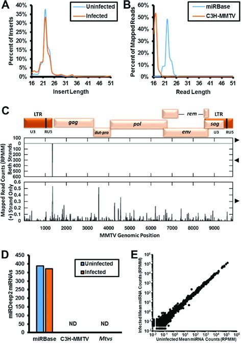 Analysis Of Small Rna Seq Libraries Prepared From Cultured Hc11 Cells Download Scientific