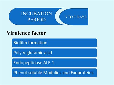 Staphylococcus Capitis Bacteria 1 Pptx