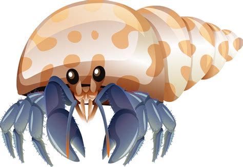 Hermit Crab In Cartoon Style On White Background 3426718 Vector Art At Vecteezy