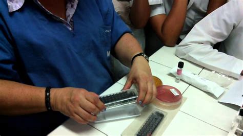 Microbiología Sistema De Identificación Bacteriana Bbl Crystal Youtube