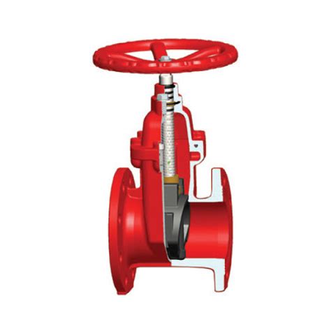 Products Page 3 Flexnet System Incorporated