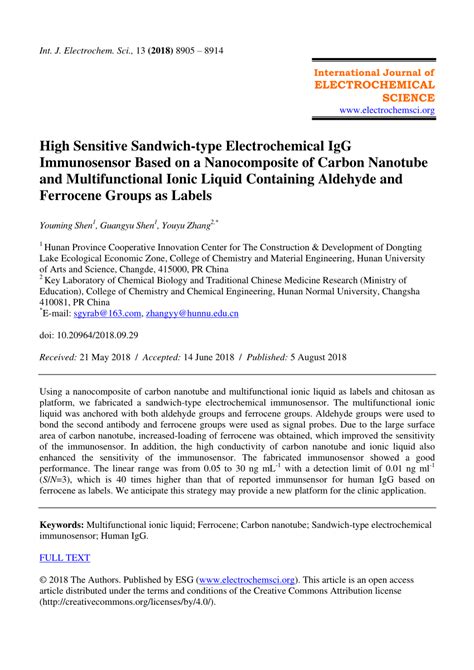 Pdf High Sensitive Sandwich Type Electrochemical Igg Immunosensor Based On A Nanocomposite Of