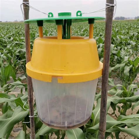 Non Toxic Spodoptera Frugiperda Sex Pheromone Lure China Price Supplier 21food