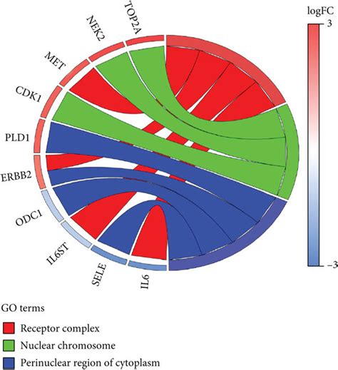 Functional Enrichment Analysis Of 18 Overlapped Degs A Chord Plot Of
