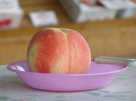 桃の美味しい食べ方 矢崎農園diary ～園主の日記～