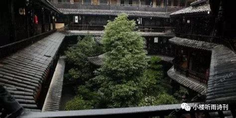 歷代詩人同題 庭中有奇樹 每日頭條
