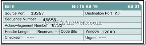 Cisco CCNA 1 Chapter 4 Exam Answers Cisco CCNA Answer