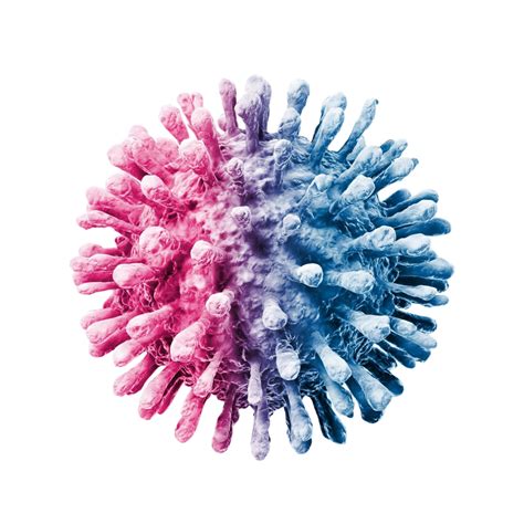 Viral Vectors 3pbiovian Cphi Online