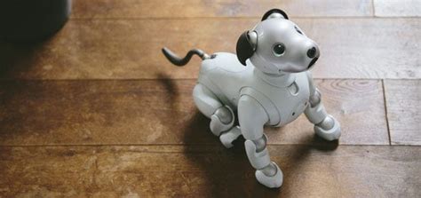 Supervised And Unsupervised Learning By Kundan Verma Medium