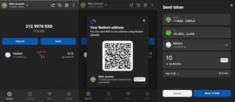 samara web wallet for radiant built with vue js